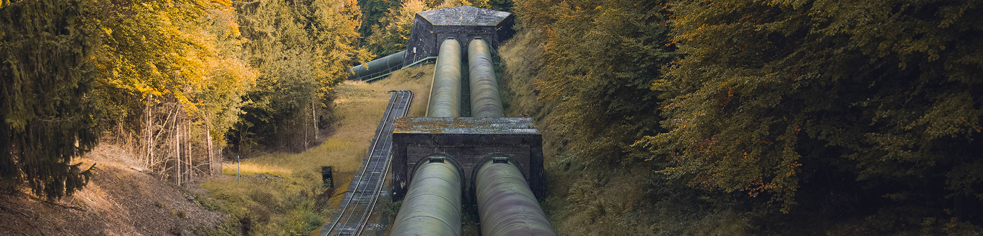The path to rapid decarbonization requires more collaboration - MiQ The path to rapid decarbonization requires more collaboration - MiQ